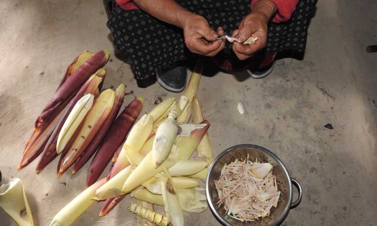 Sustainable Livelihoods