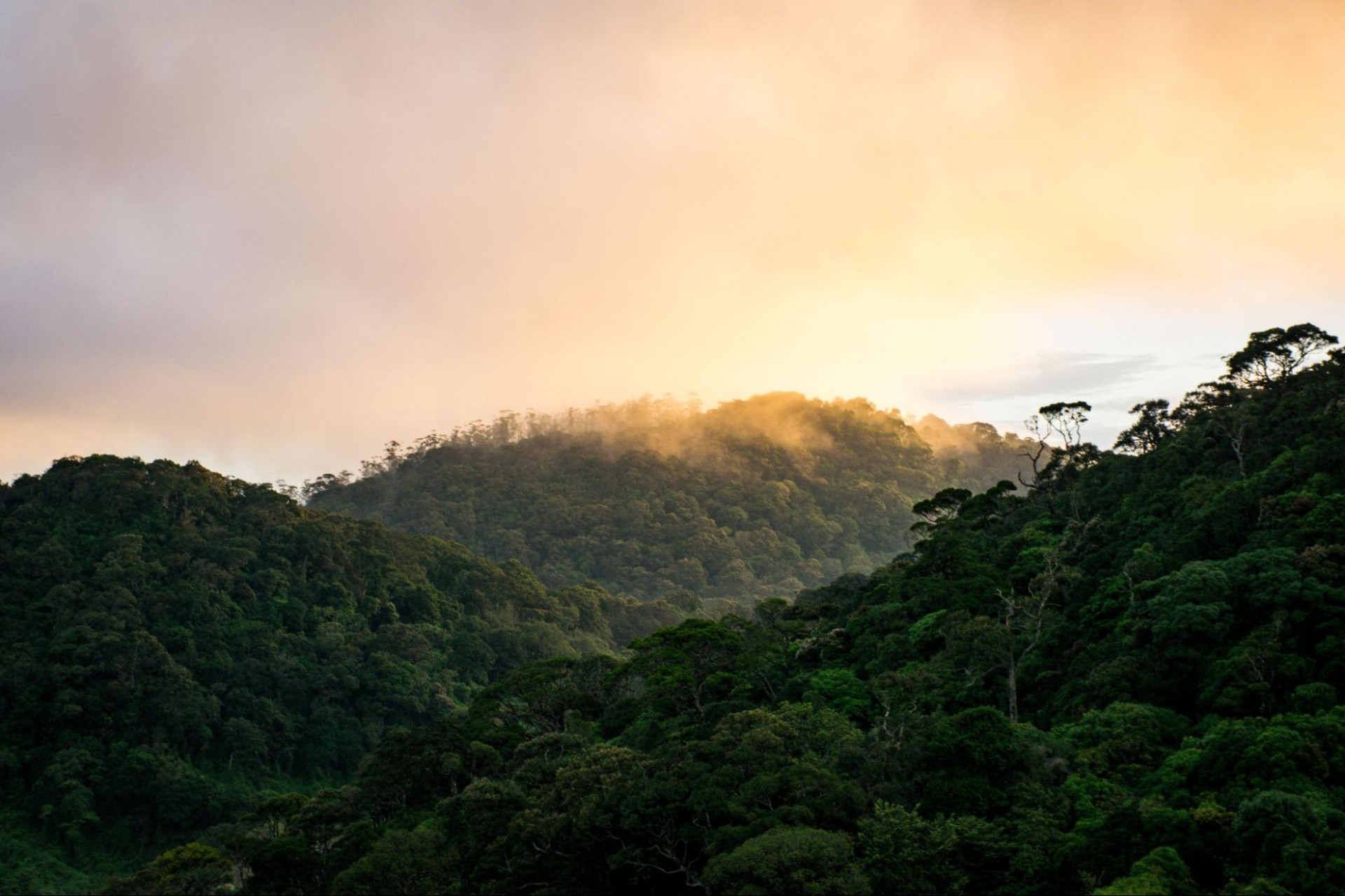 Agasthyamalai Sustainability Project for Integrated Restoration of ...