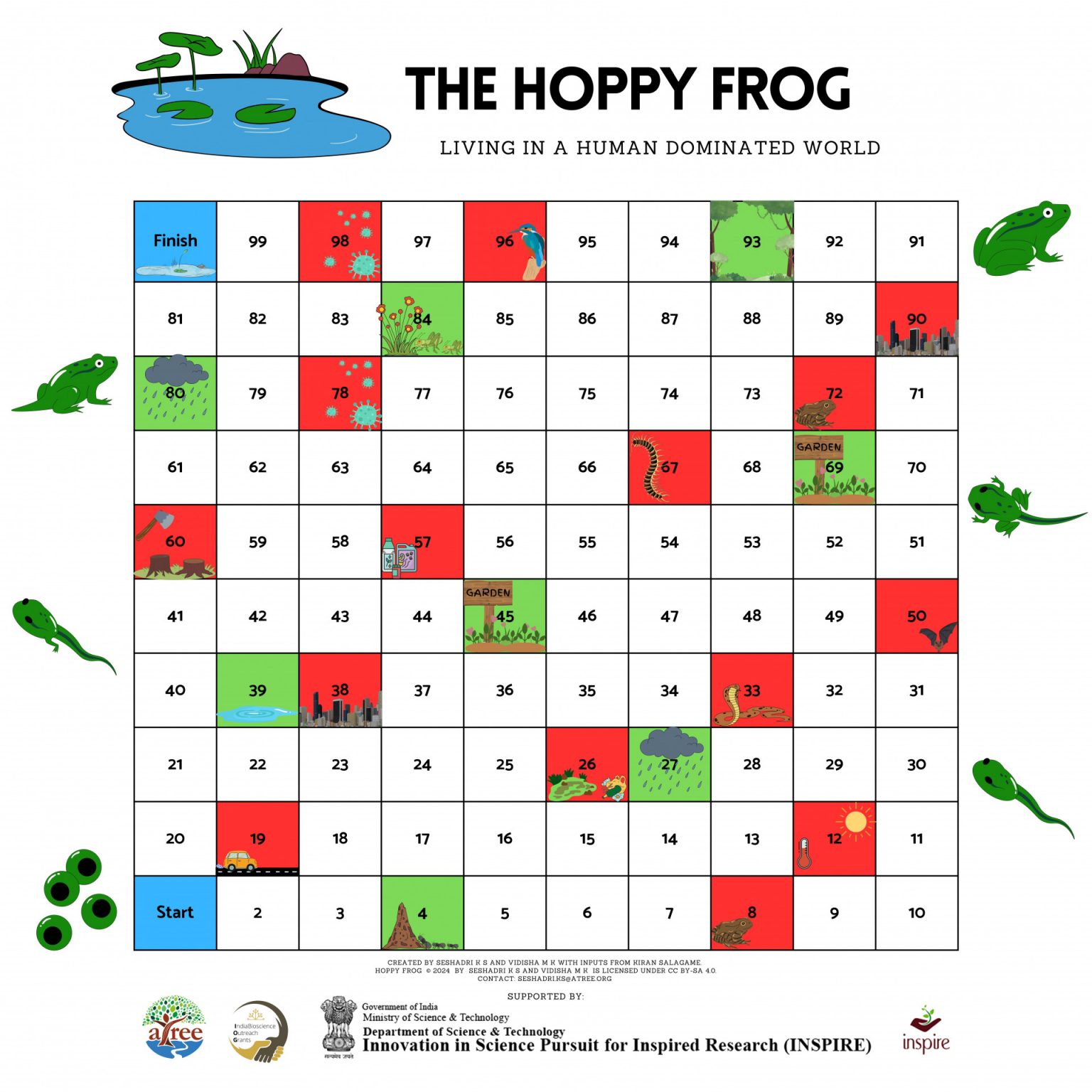 Amphibian Awareness through Games and Activities