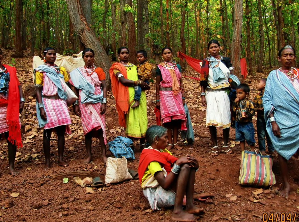 Forests, Governance and Livelihoods