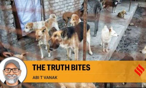 Abi Tamim Vanak – atree.org