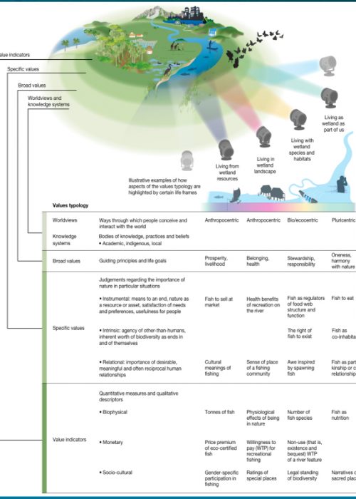 Diverse Values of Nature for Sustainability – atree.org
